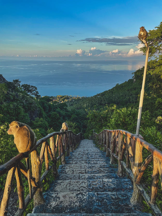 Pamana Photography 2021 – RasMitmug.com